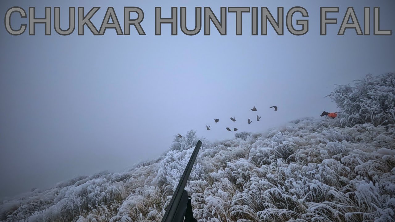 Chukar hunting fail - YouTube