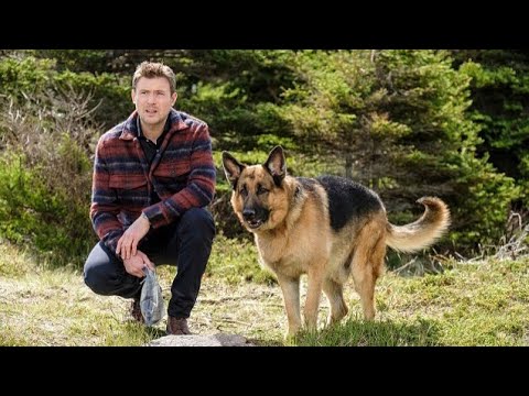 Hudson & Rex Season 8 Trailer BREAKDOWN—Charlie Hudson’s Shocking ...