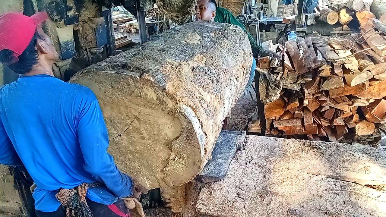 besar...kayu Pulai lembut dan ringan - YouTube