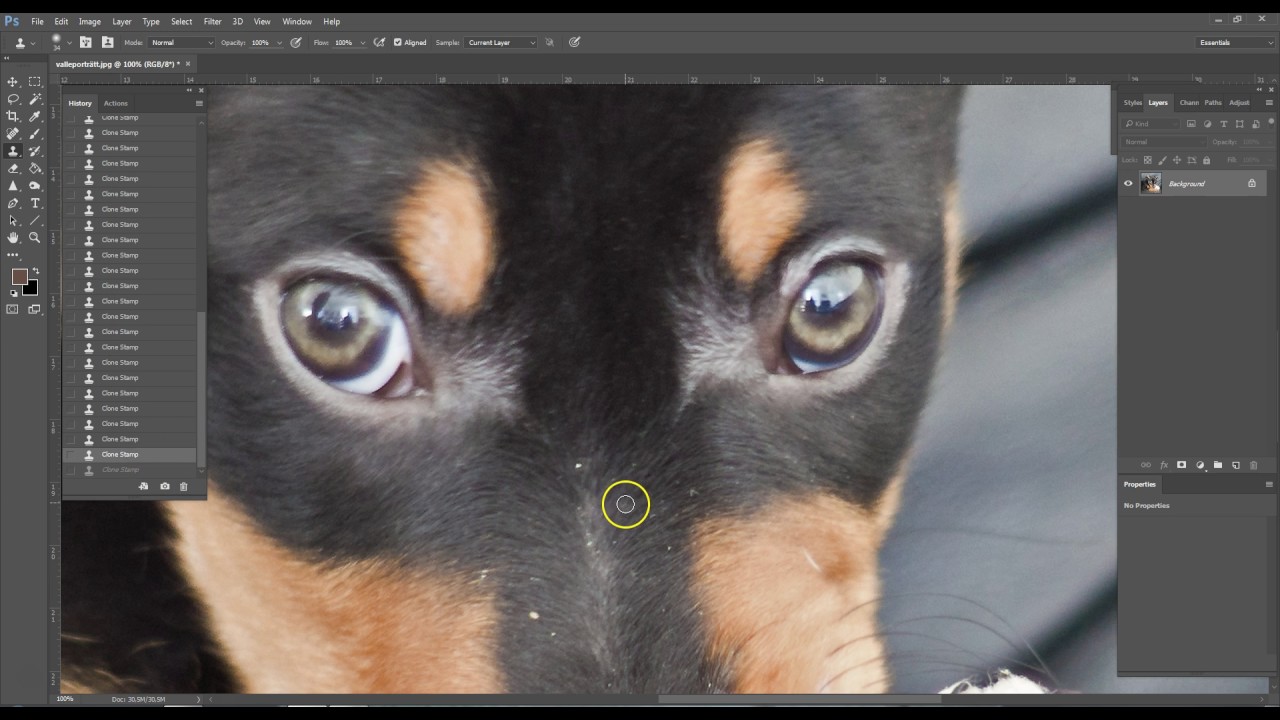 How To Master The Clone Tool In Photoshop YouTube how-to-master-the-clone-tool-in-photoshop-youtube