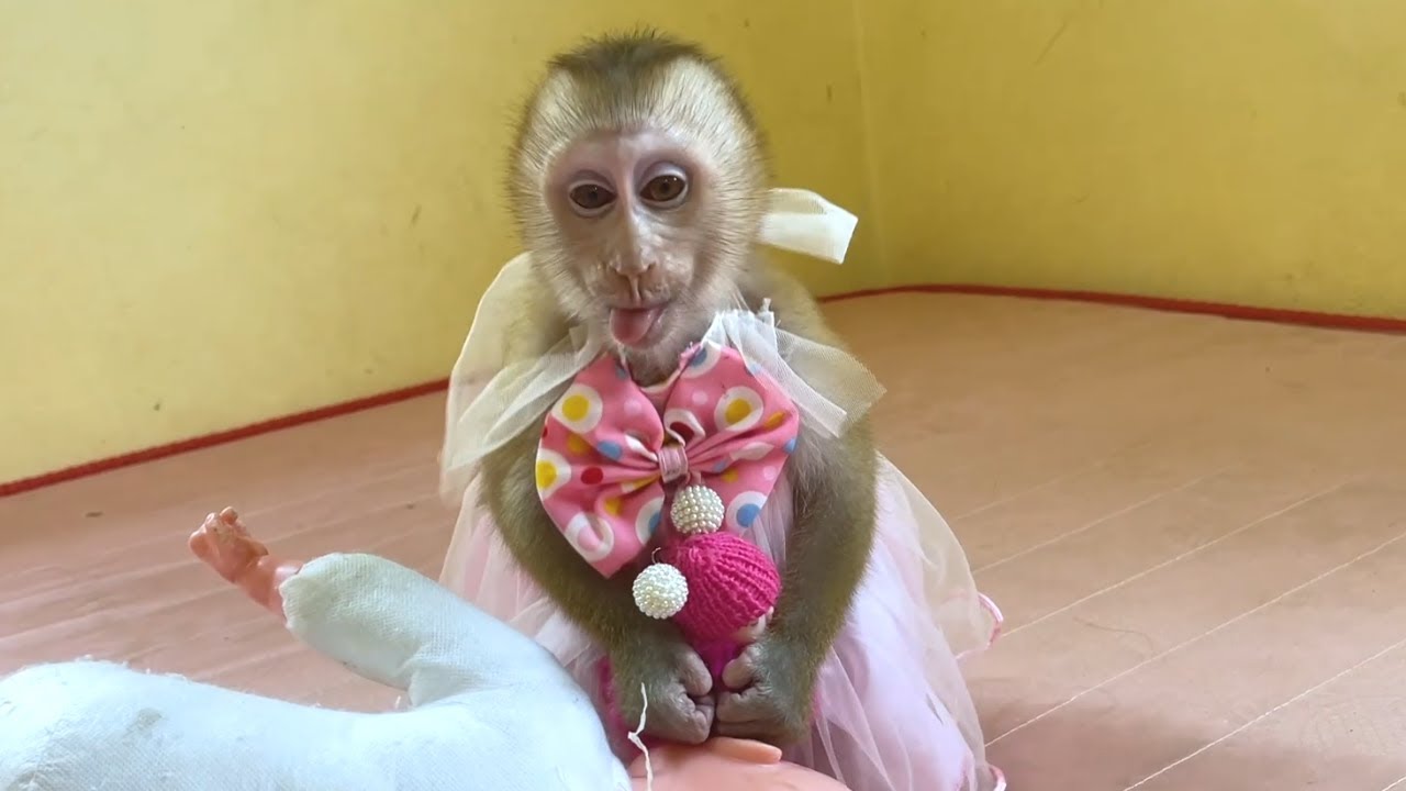 Princess Baby Monkey Wear Rope Cute Talking - YouTube