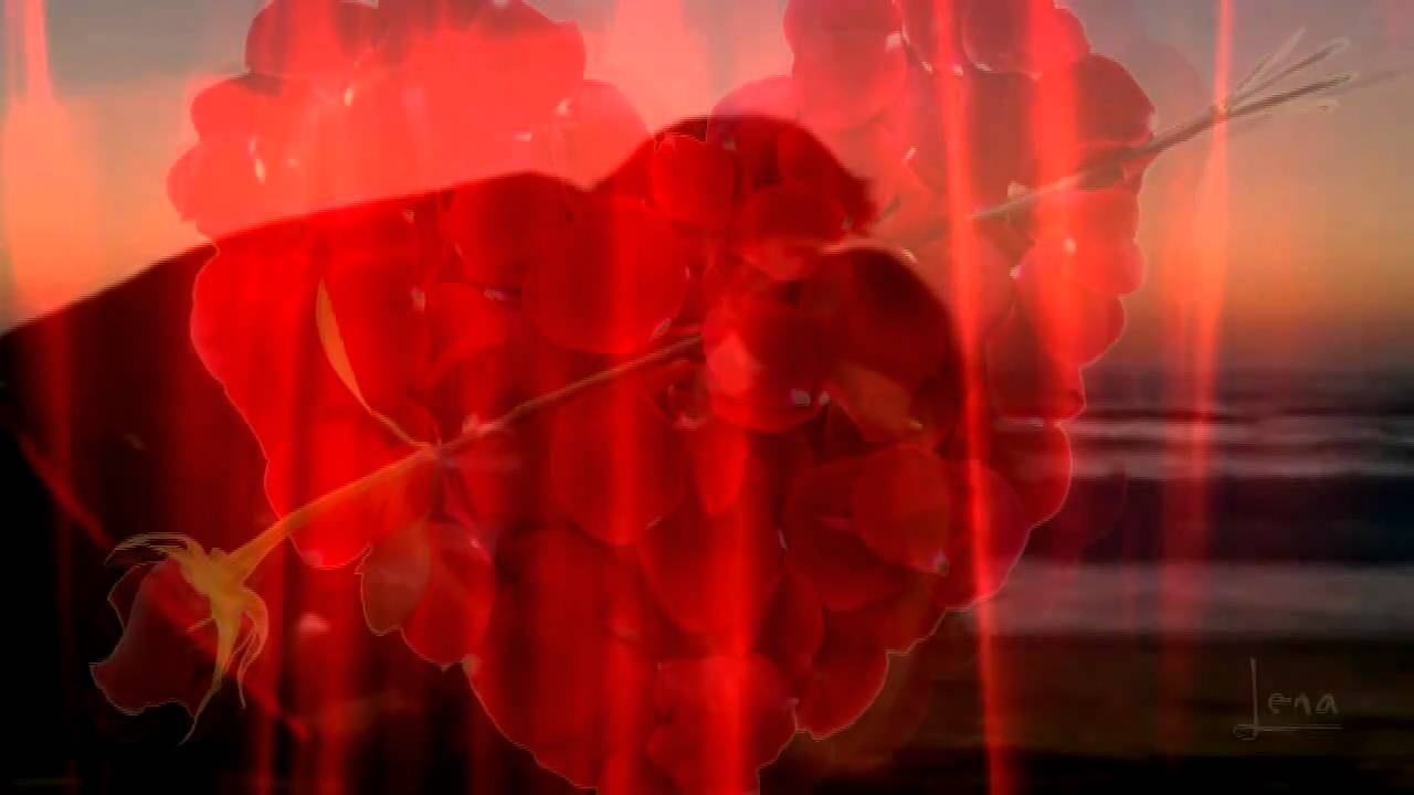 Rocker Blues °•. ♫♪°•. F. R. David (lyrics) HD - YouTube