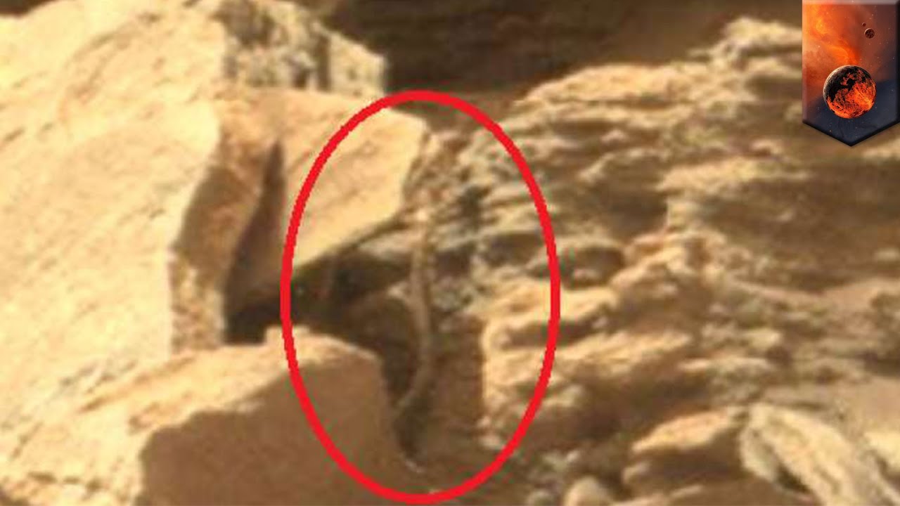 Snakes on Mars? Conspiracy theory says rover photo shows proof that ...