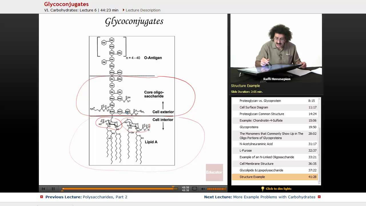 "Glycoconjugates" | Biochemistry with Educator.com - YouTube