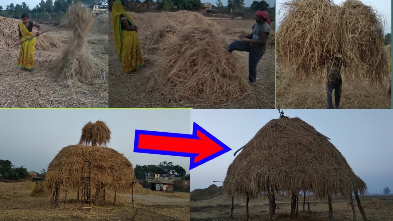 Puwal Ka macha // धान का पौरा ( पुवाल ) - YouTube