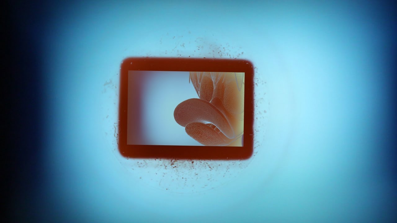 ABSRDST - Animation (Feat. Yung Skrrt) Lyric Video - YouTube
