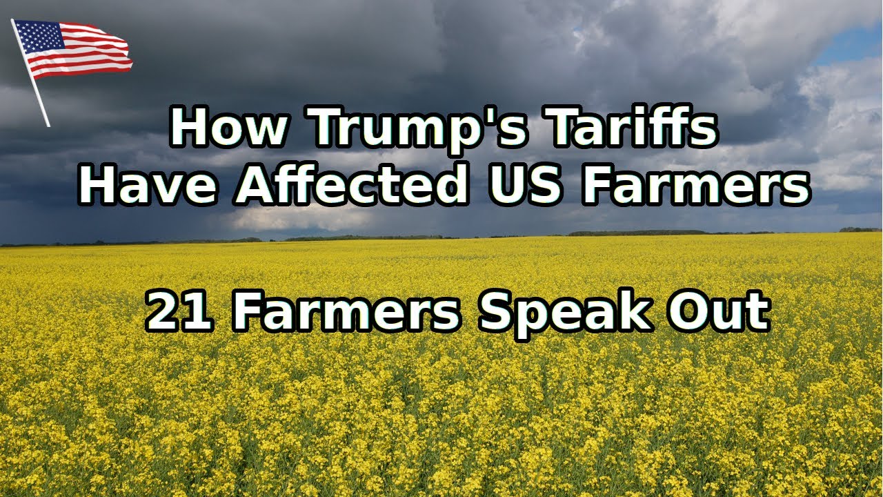 How Trump's Tariffs Have Affected US Farmers -- 21 Farmers Speak Out - YouTube