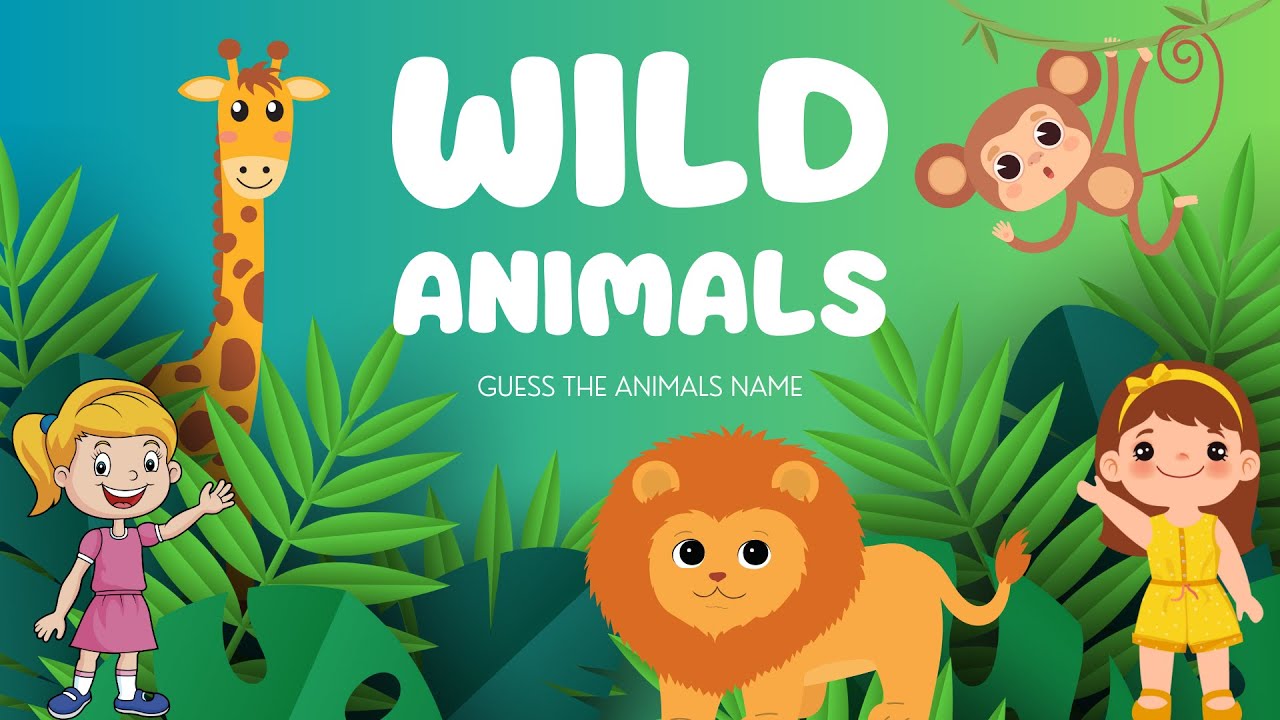 Wild Animals Identify - Kids Cartoons - YouTube
