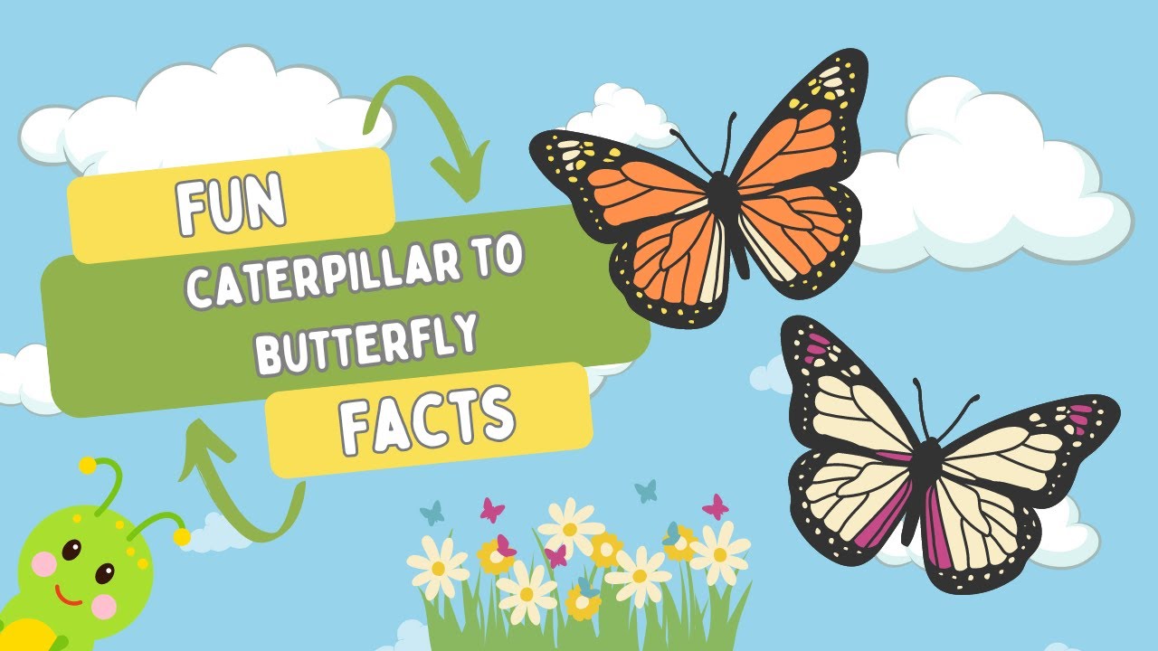 Learning Videos for Kids | Caterpillar to Butterfly Transformation ...