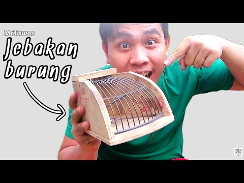 bird trap, cara membuat jebakan burung dari bekas kipas rosak. - YouTube
