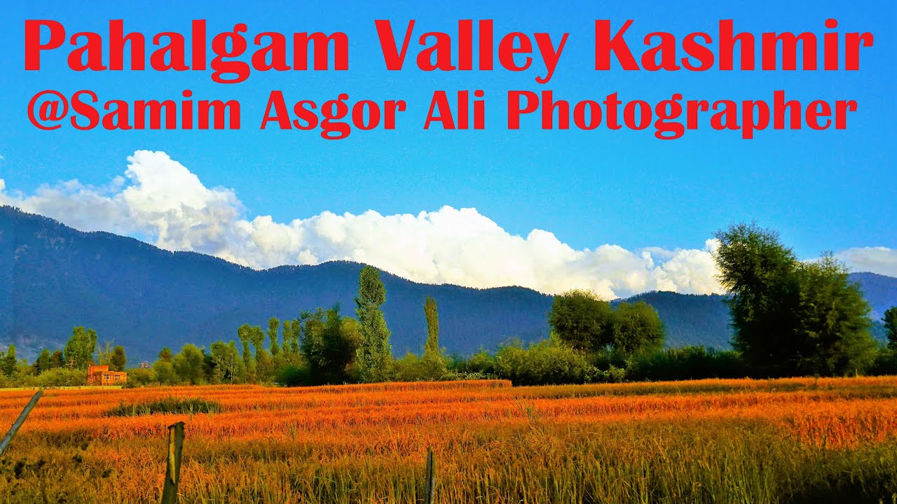 Pahalgam Kashmir (4K): Mesmerizing Beauty through the lens of Samim ...