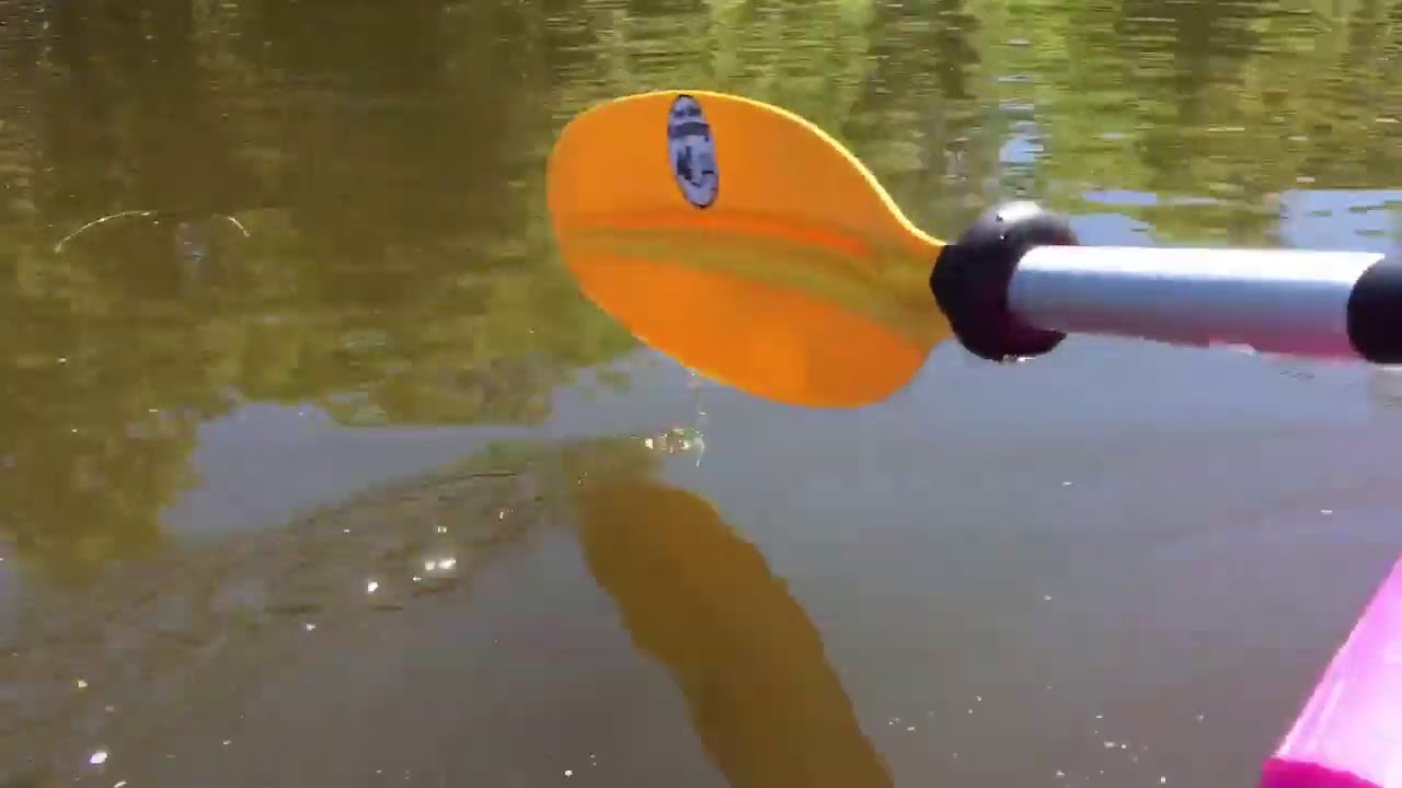 Rum River Trip July 2020 - YouTube