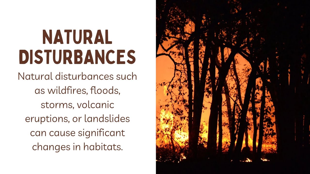 Natural Disturbance: पर्यावरण परिवर्तन:#climate #youtube#viral हम ...