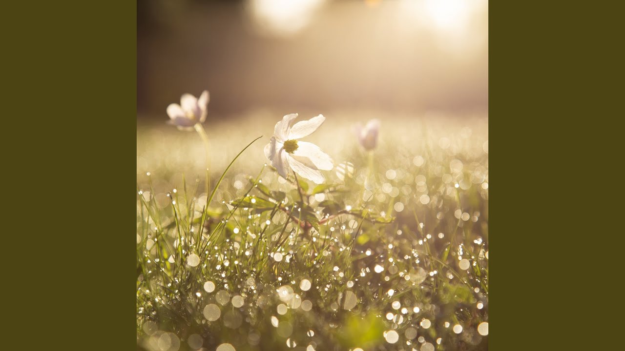 One More Spring - YouTube