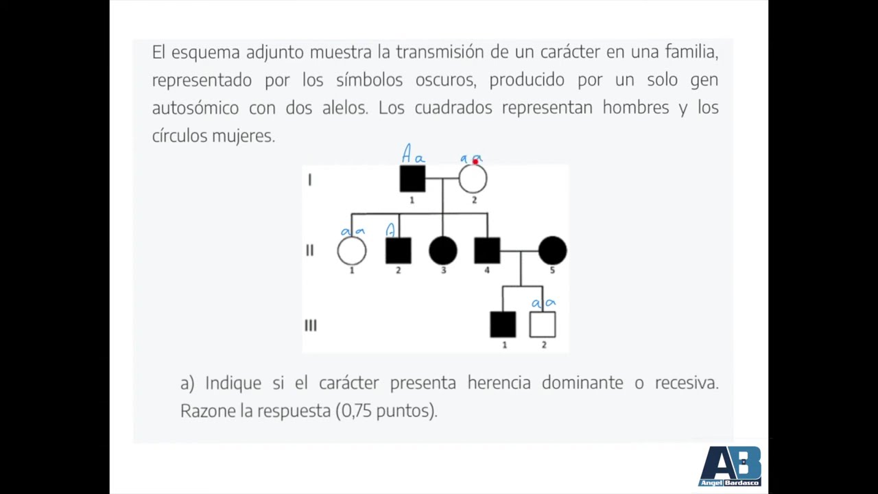 Problemas de genética: pedigrís - YouTube