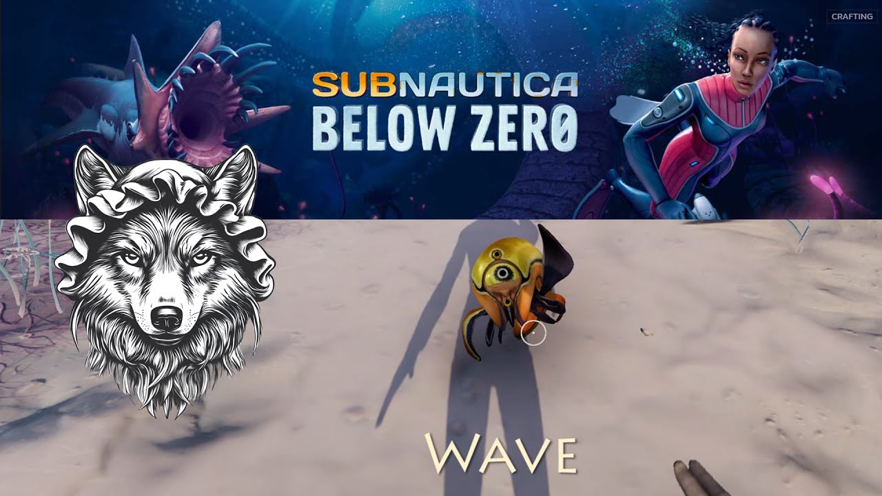 Below Zero - Trivalve Gold tricks on land - YouTube