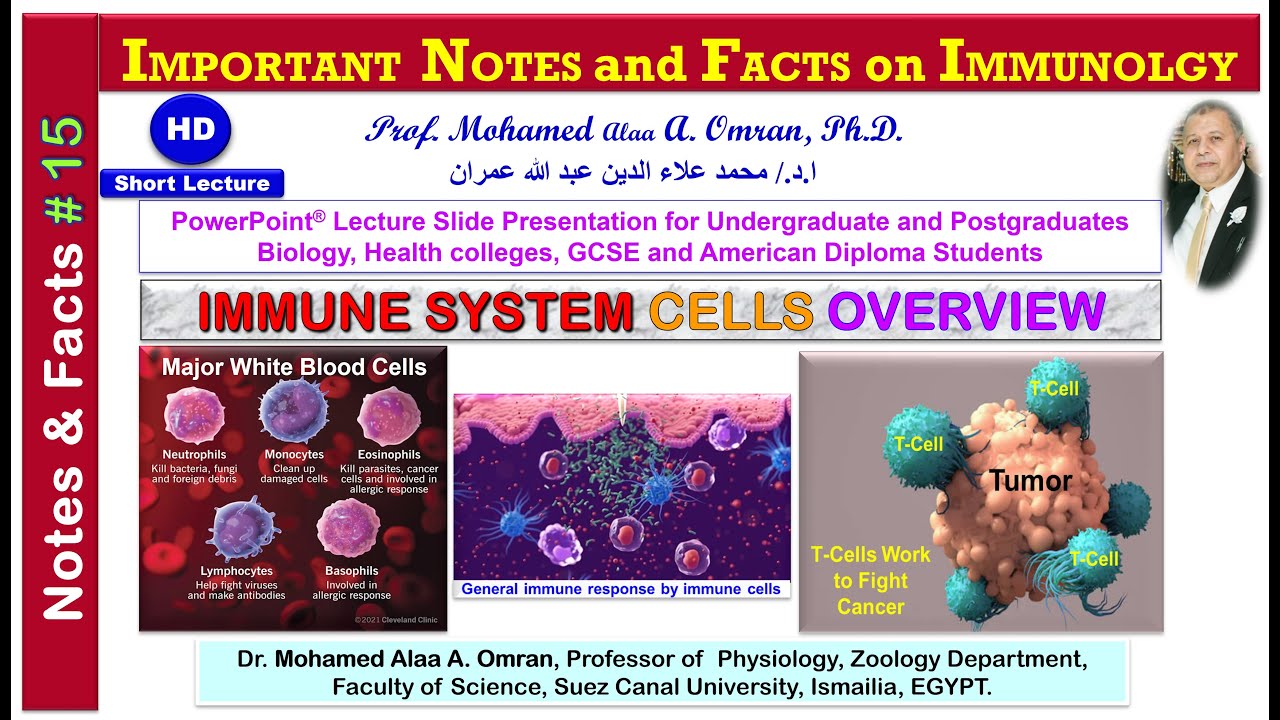 IMPORTANT NOTES and FACTS on IMMUNOLGY - Immune System Cells Overview ...