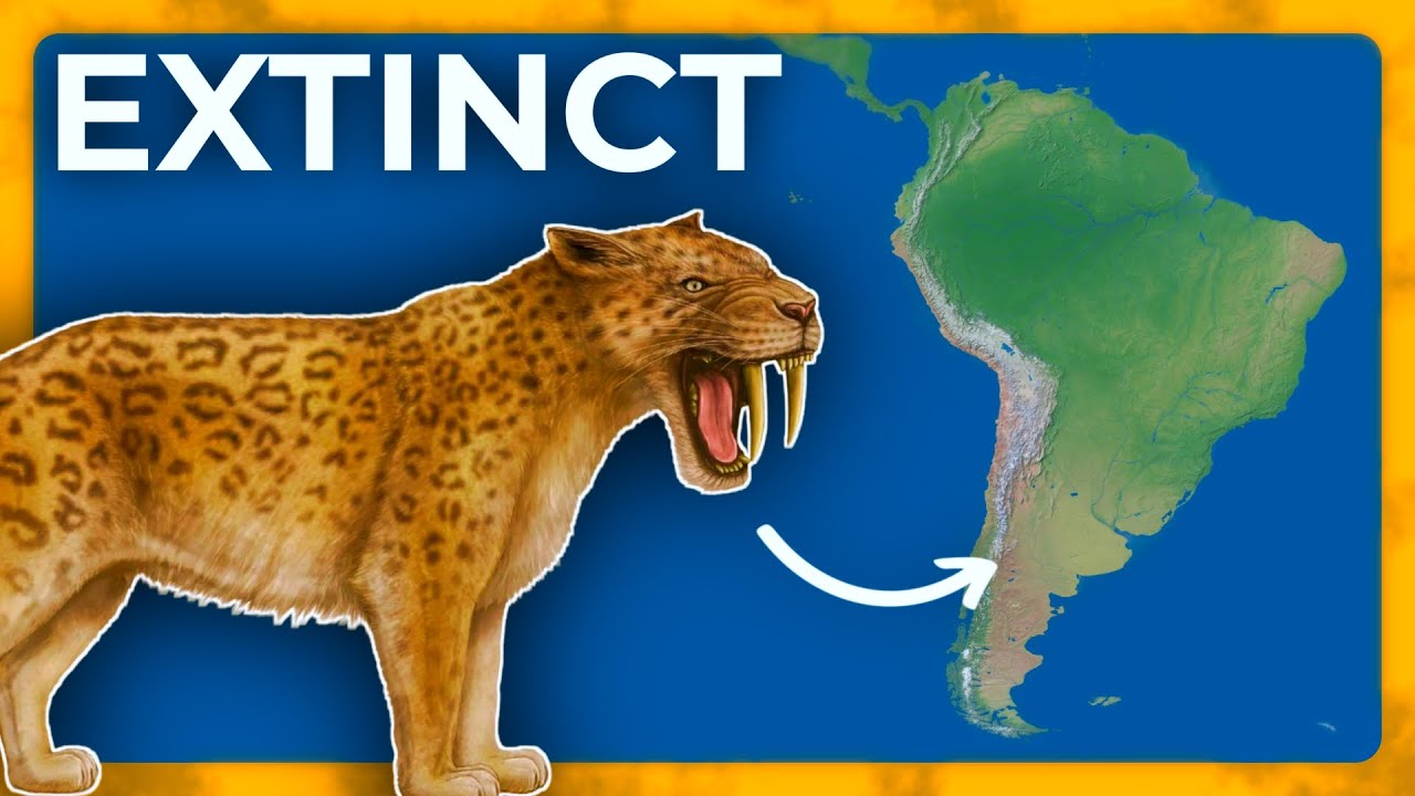 Every Extinct Animals from South America, Mapped - YouTube