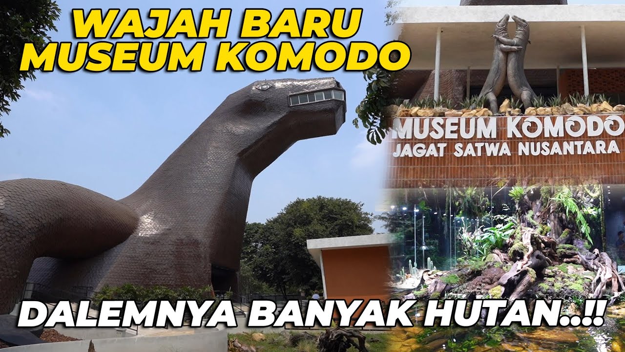 INI DIA WAJAH BARU MUSEUM KOMODO TMII..! DALEMNYA BANYAK HUTANNYA ...
