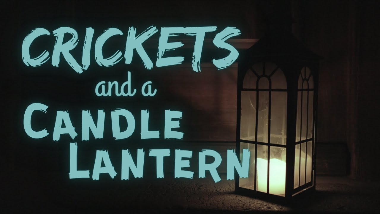 Crickets and a Candle Lantern | Crickets and Light | Ambient Sound ...
