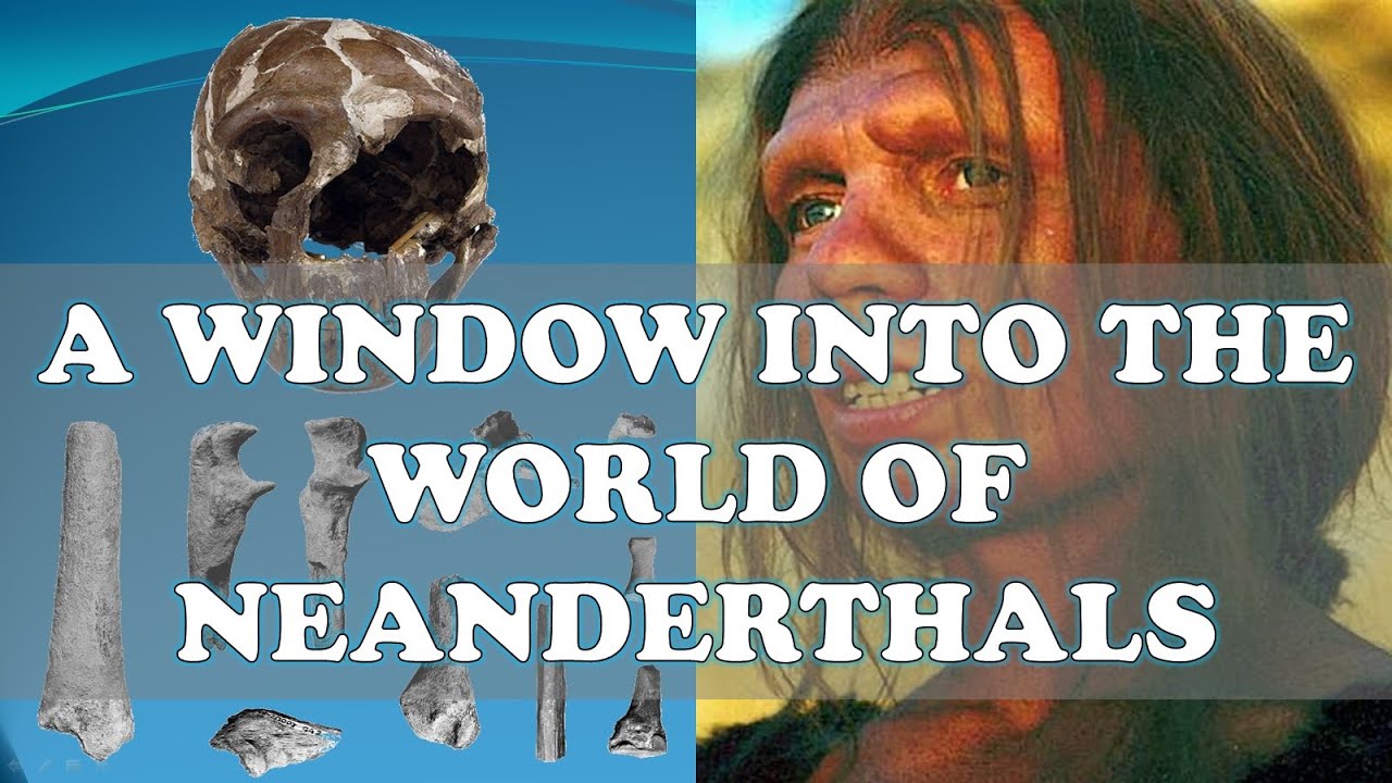 Tabun Cave: A Window Into The World Of Neanderthals - YouTube