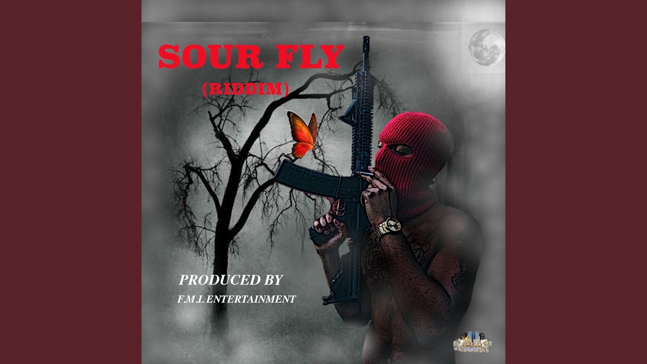 Sour Fly (Instrumental) - YouTube
