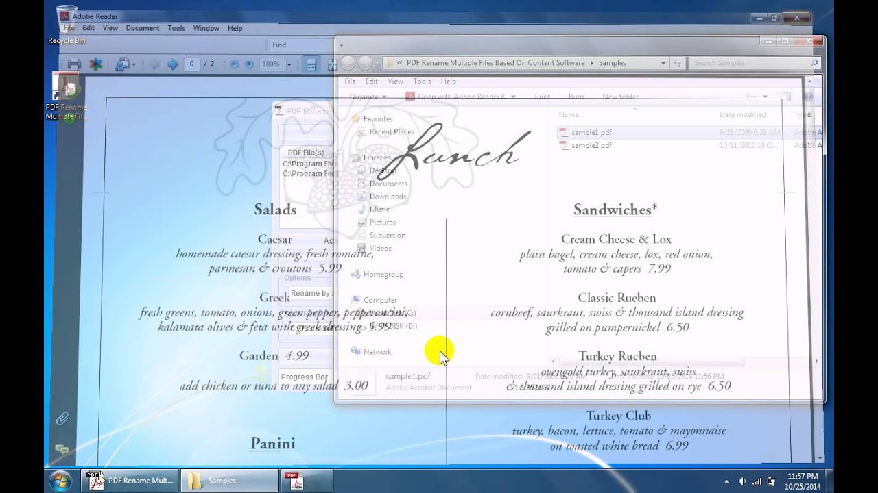 How To Use Pdf Rename Multiple Files Based On Content Software Youtube