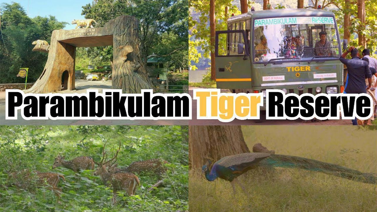 PARAMBIKULAM NATIONAL PARK parambikulam tiger reserve - YouTube