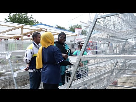 AFI-GREEN WASOGEZA HUDUMA ZAO KWENYE MAONYESHO YA SABSABA, WAINGIA NA ...