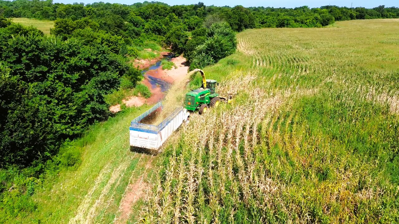 Another Field Bites the Dust | Corn Silage 2025 - YouTube
