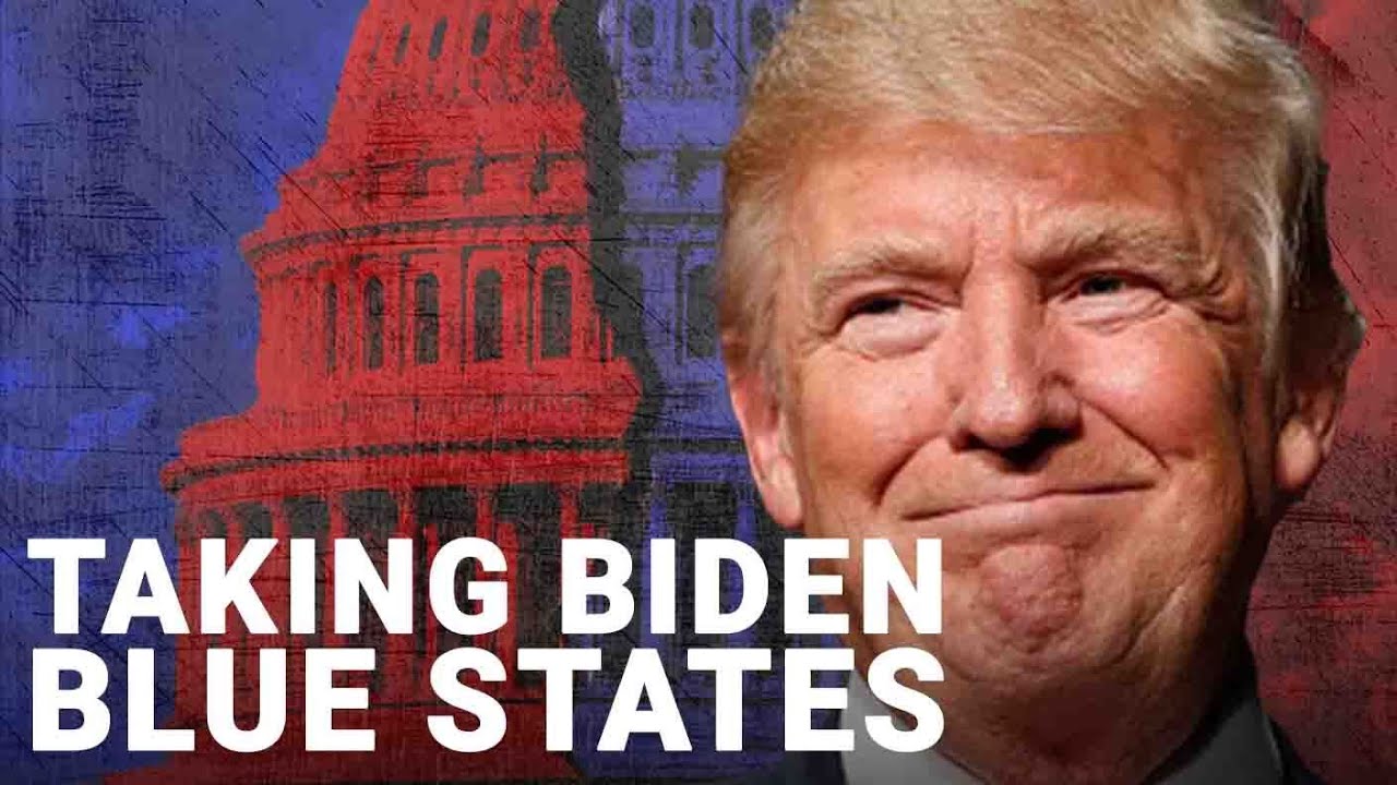 Trump would win presidential election if held today | Bryan Lanza - YouTube