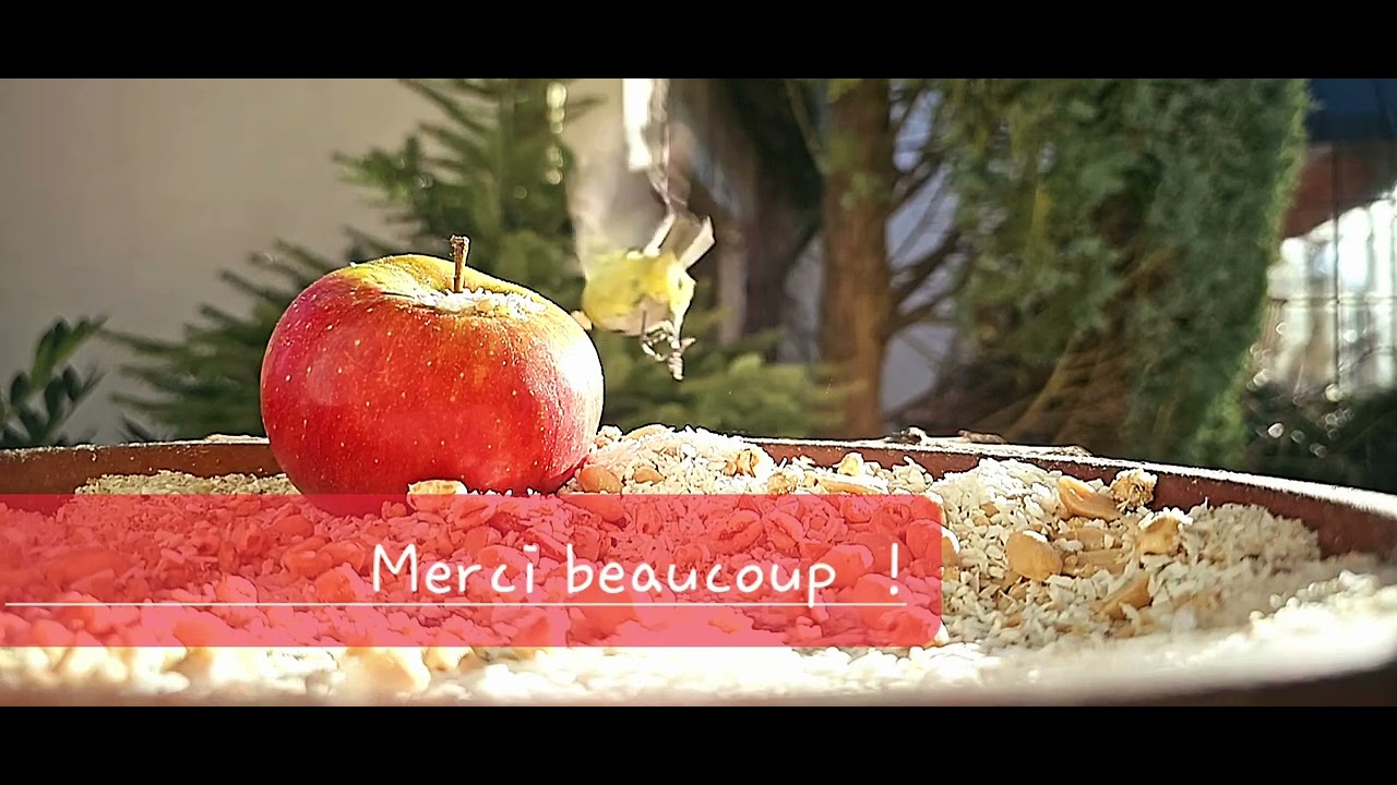 Merci beaucoup ! - YouTube