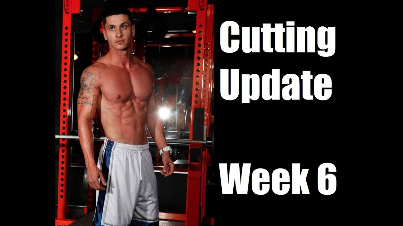My New Sixpack Journey Cutting Update: Week 6 - YouTube