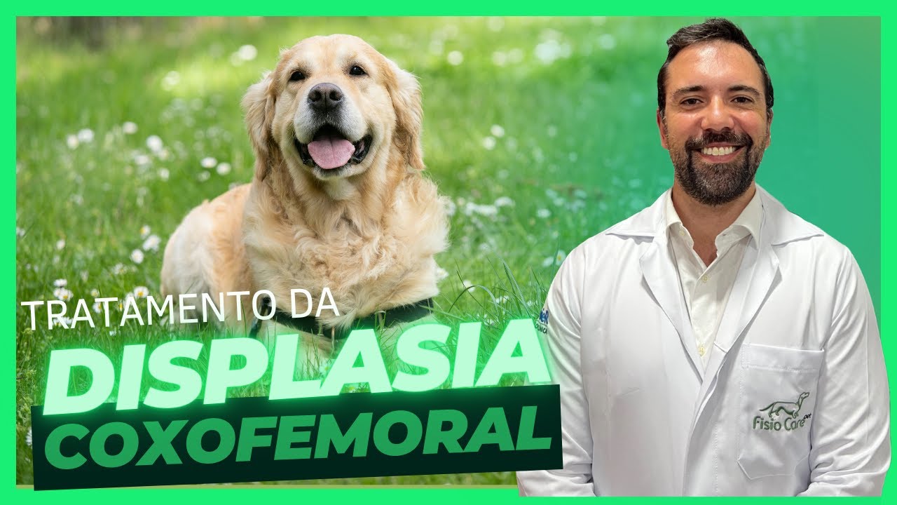 Entenda sobre o tratamento da Displasia Coxofemoral em cães - YouTube