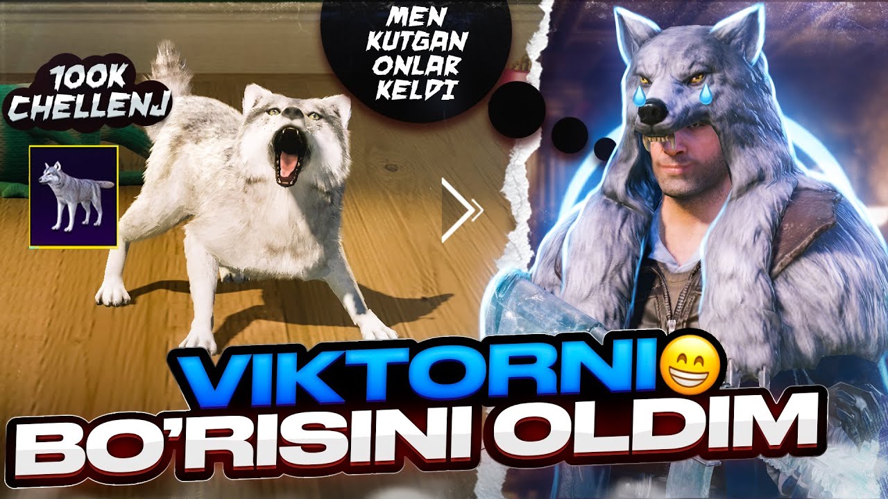 🐺 BO'RI KAMPANYONINI ARZIMAGAN UCga TUSHIRDIM - KIM BIRINCHI BO'RI ...