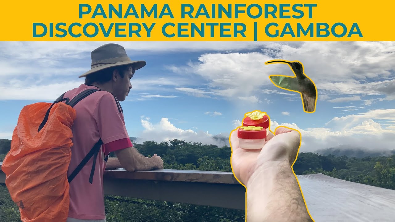 Panama Rainforest Discovery Center 🇵🇦 Todo lo que debes saber - YouTube