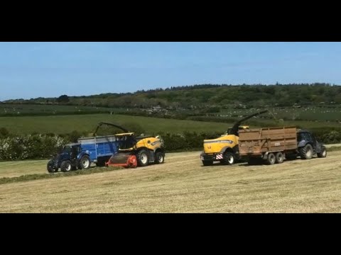 TWO Choppers on the Silage - with Tractors Galore . . - YouTube