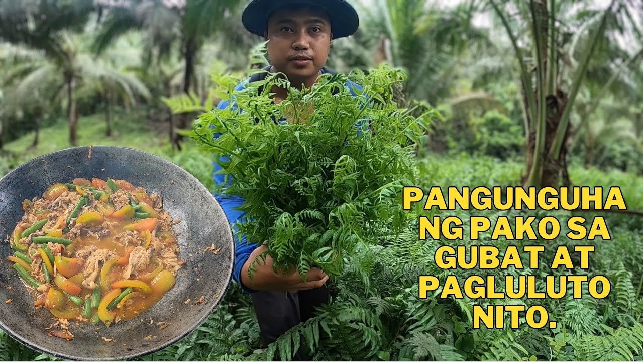 Pangunguha ng Pako sa Gubat at Pagluluto ng Ginisang Gulay Pananghalian ...