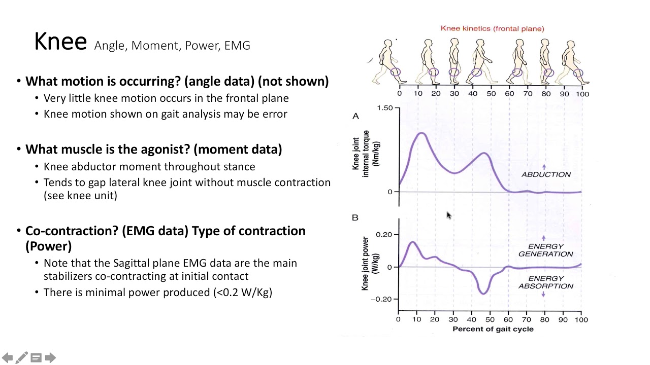 Frontal Plane Hip, Knee, STJ - YouTube