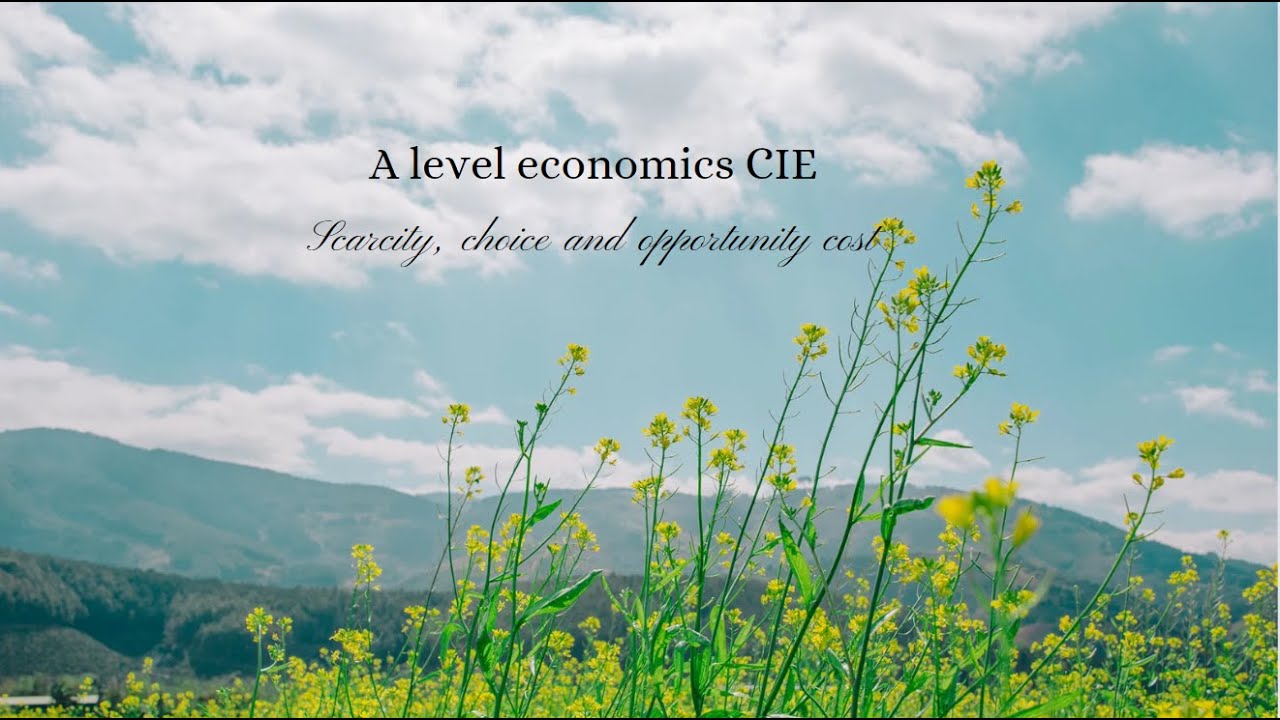 A-level economics CIE notes - updated syllabus 2024 -2025! - Chapter 1 ...