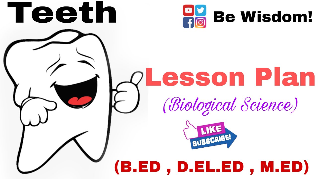 Biological Science Lesson Plan Teeth(जीवविज्ञान पाठयोजना- दांत ...