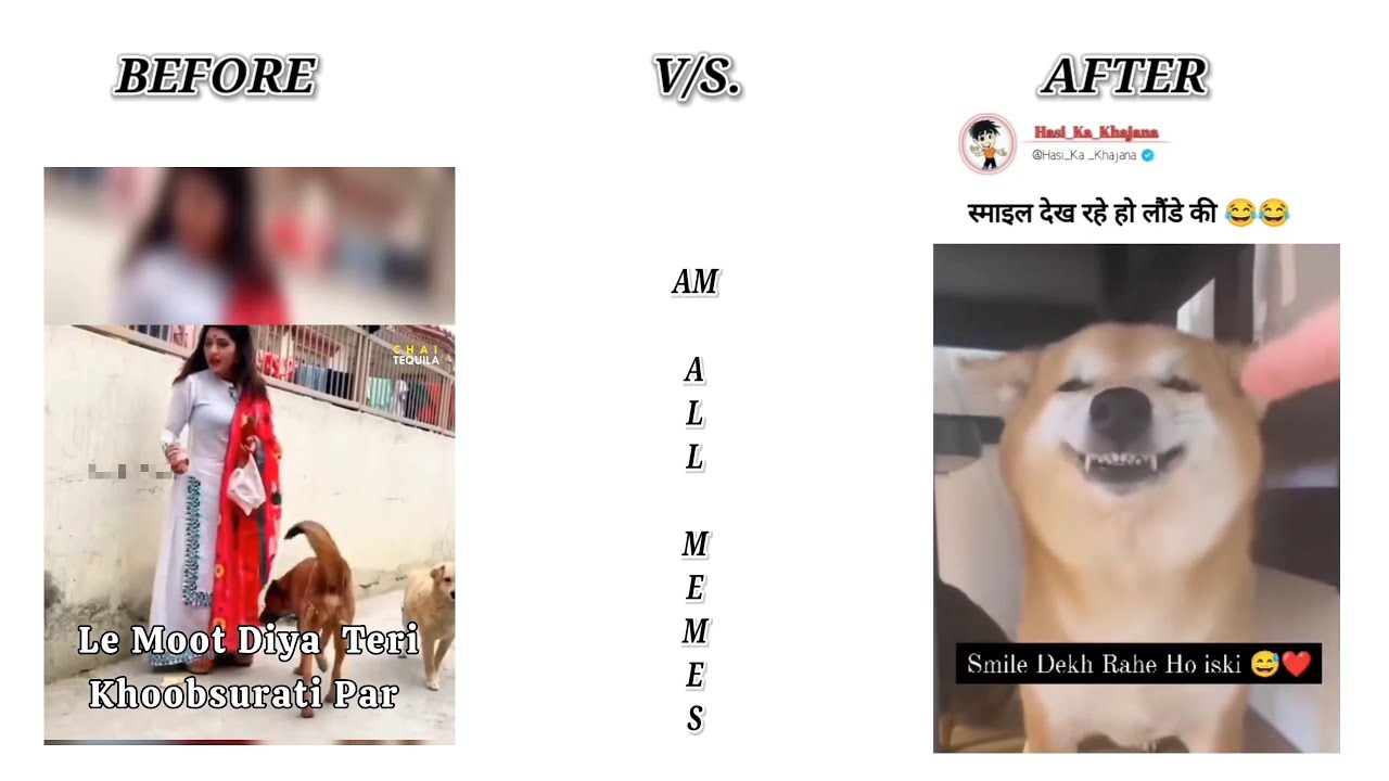 Dog Before Vs After 😂|| funny memes|| #memes #amallmemes - YouTube