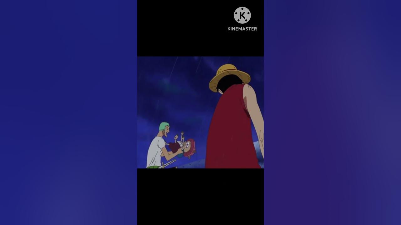Zoro gets stuck in a chimney #luffy #onepiece #zoro #zoroonepiece #luffyonepiece # ...