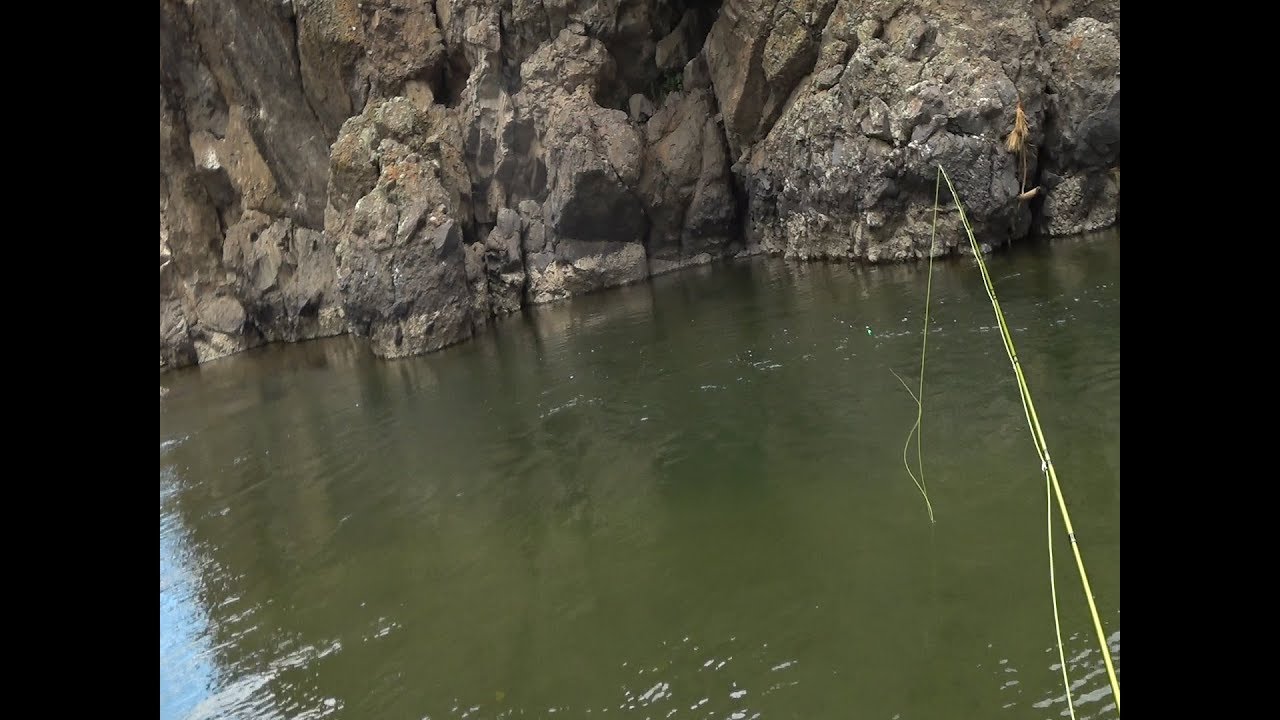 East Carson River Fishing (backcountry) - YouTube