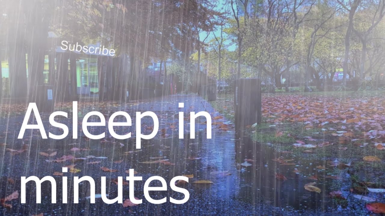 Peaceful Thunder & Rain Sounds for Sleeping Immediately in Park at ...