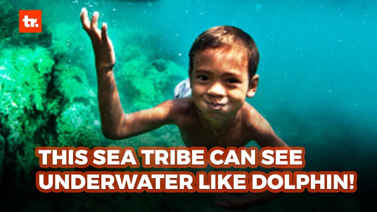 The People of This Sea Tribe Can See Underwater Like Dolphin! - YouTube