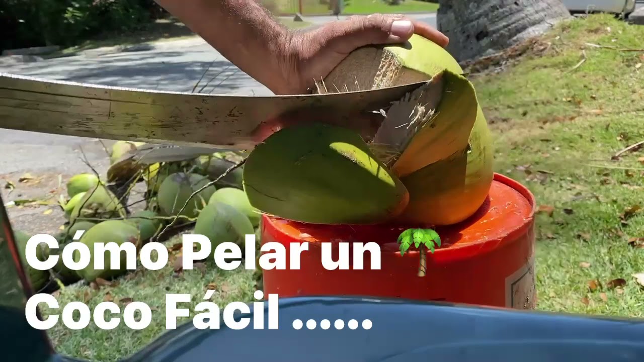 COMO PELAR UN COCO FÁCIL - YouTube