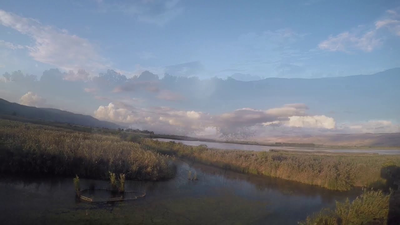 Hula valley nature park. - YouTube