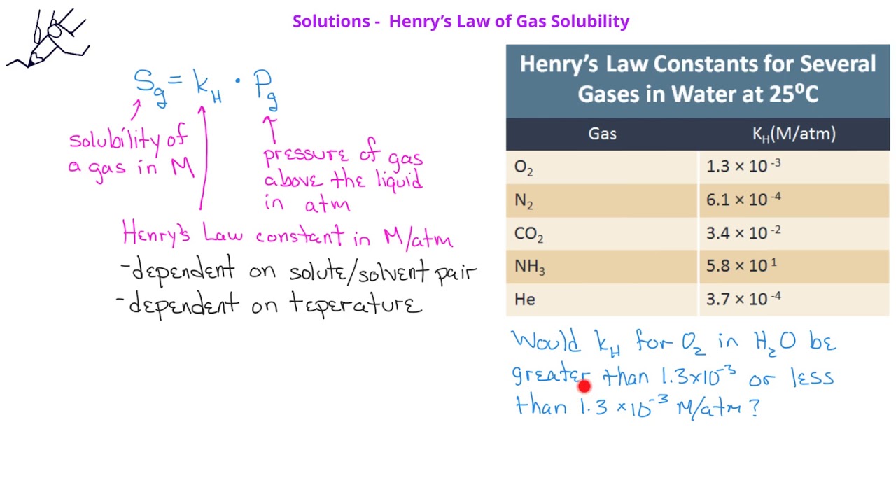 Solutions -06 Pressure Effects on Solubility - YouTube