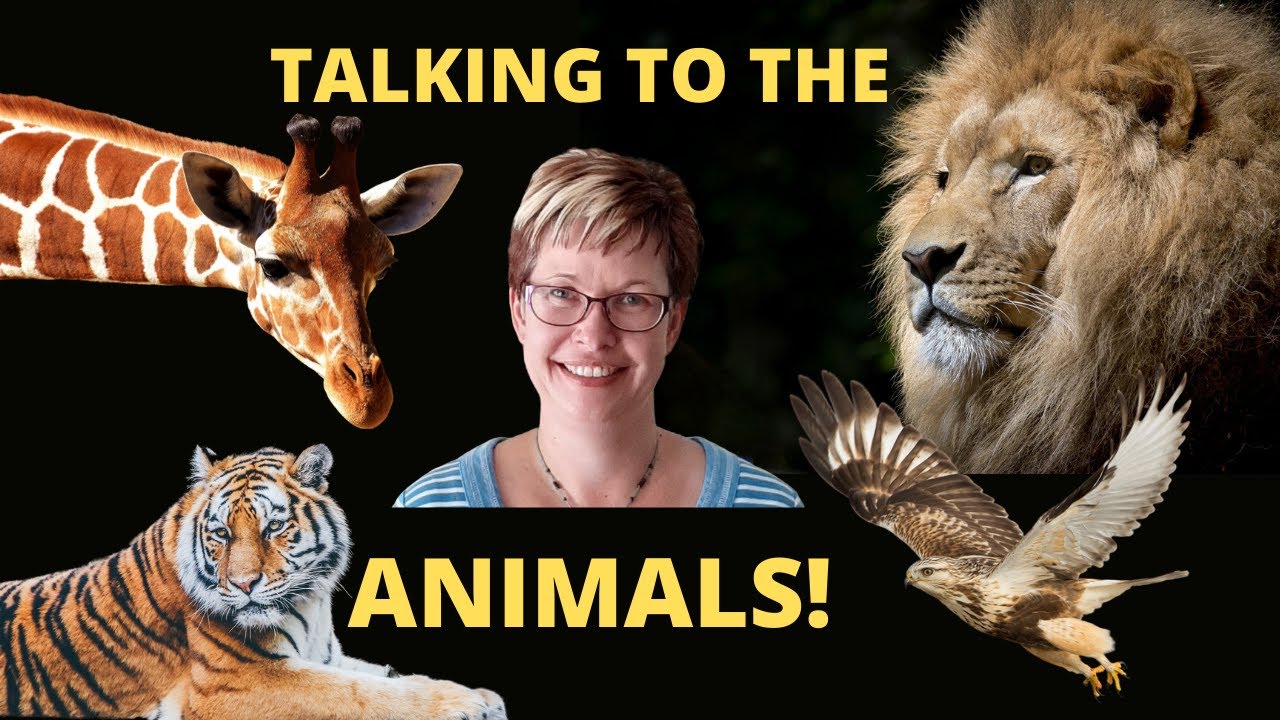 Talking to the Animals - My Personal Story - YouTube